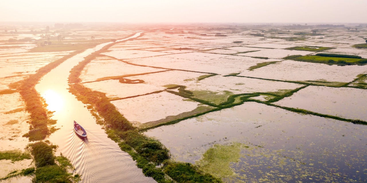 State:DRRIS RESOURCE DIRECTORY